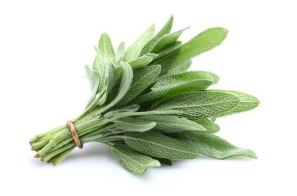 Sage - Bunch – Get Fresh Direct