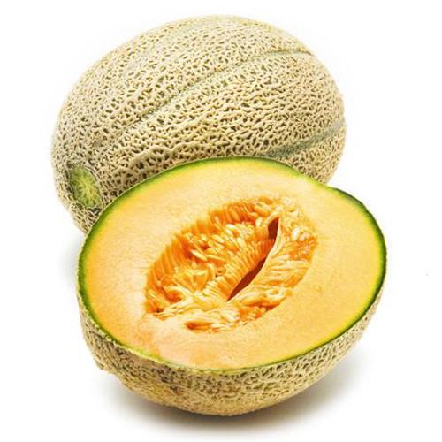 Rockmelon - Each – Get Fresh Direct